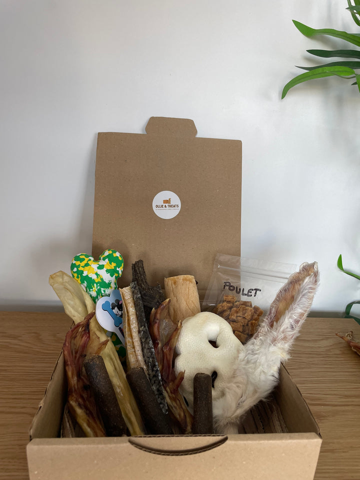 Box 100% naturelle pour chiens - Mastications, friandises et surprises ...
